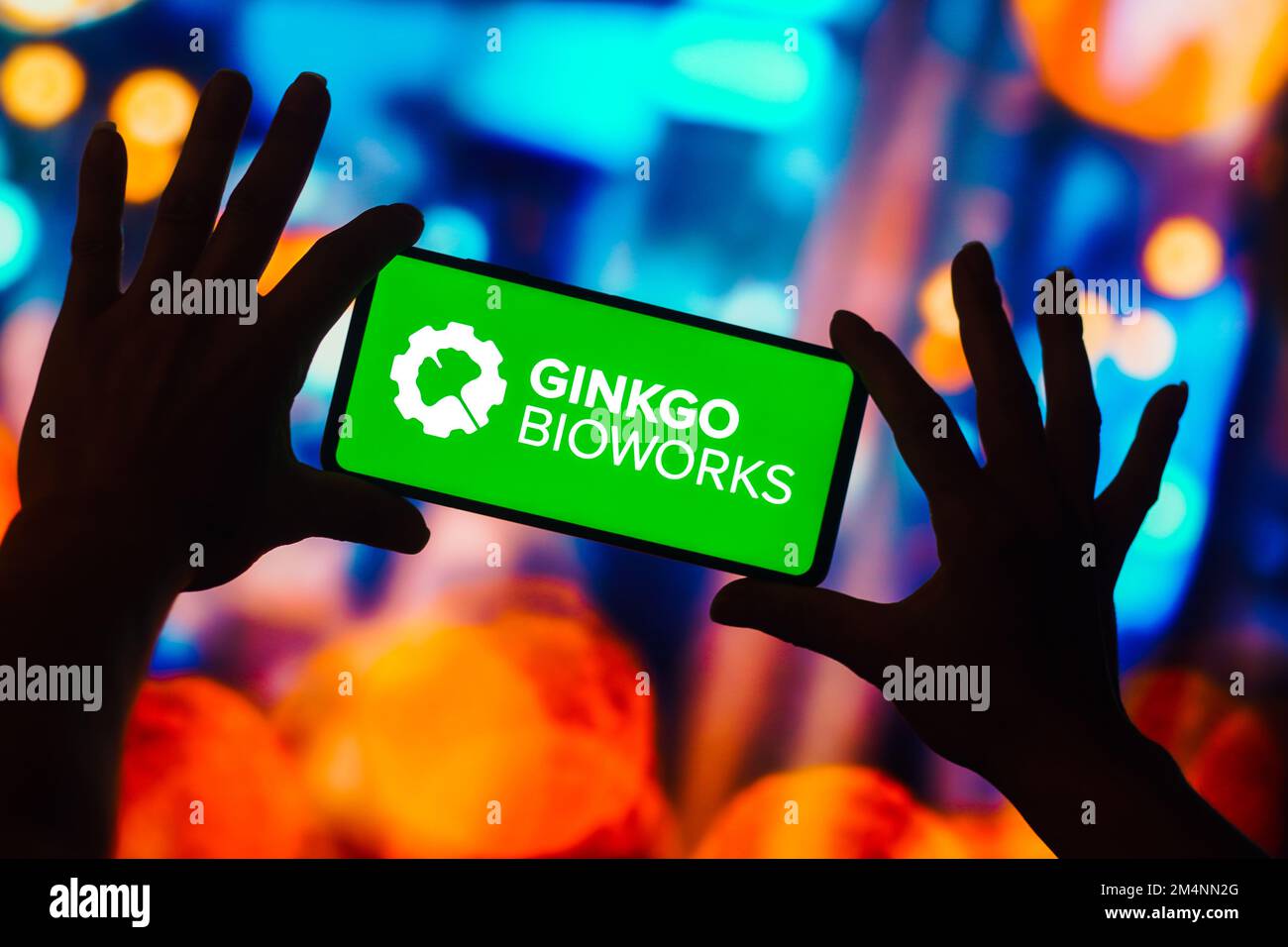 In this photo illustration, the Ginkgo Bioworks logo is displayed on a ...