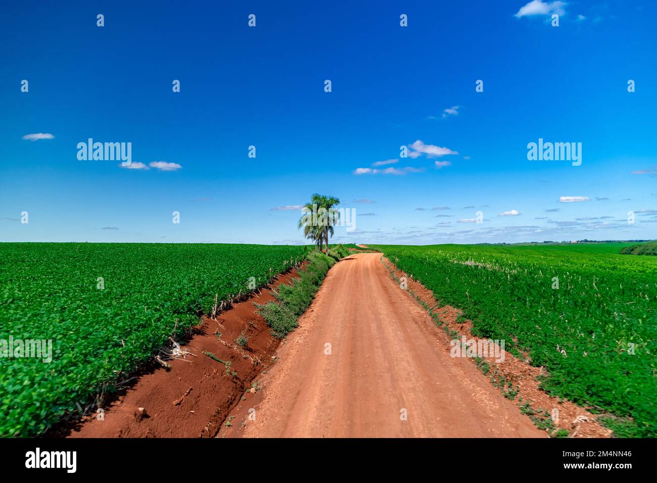 Rural south america hi-res stock photography and images - Alamy