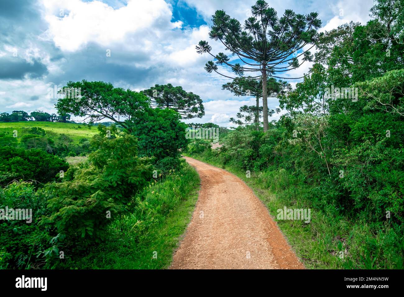sandy road in rural South America Stock Photo - Alamy