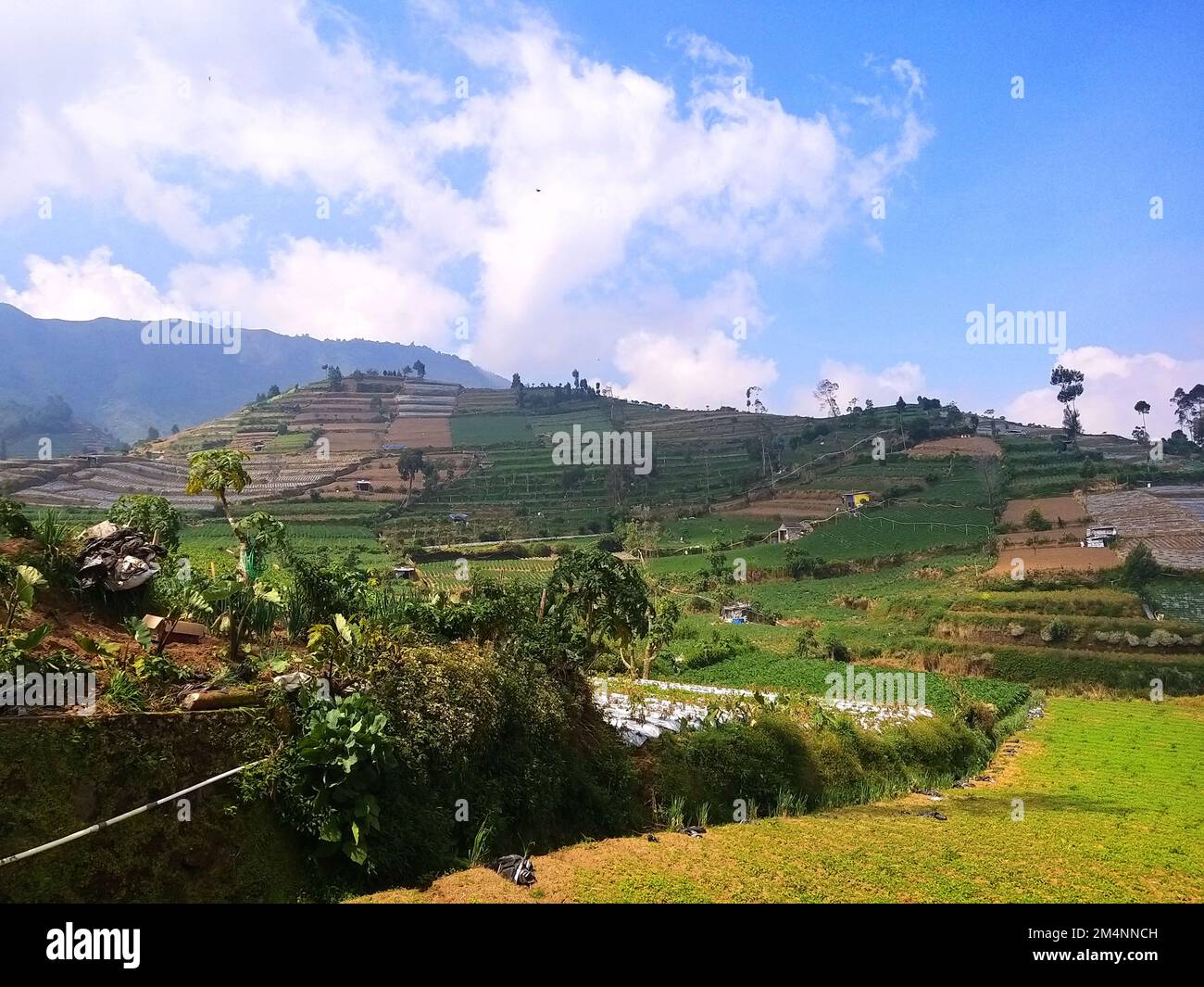 Landscape of Dieng Plateau in Central Java, Indonesia Stock Photo - Alamy