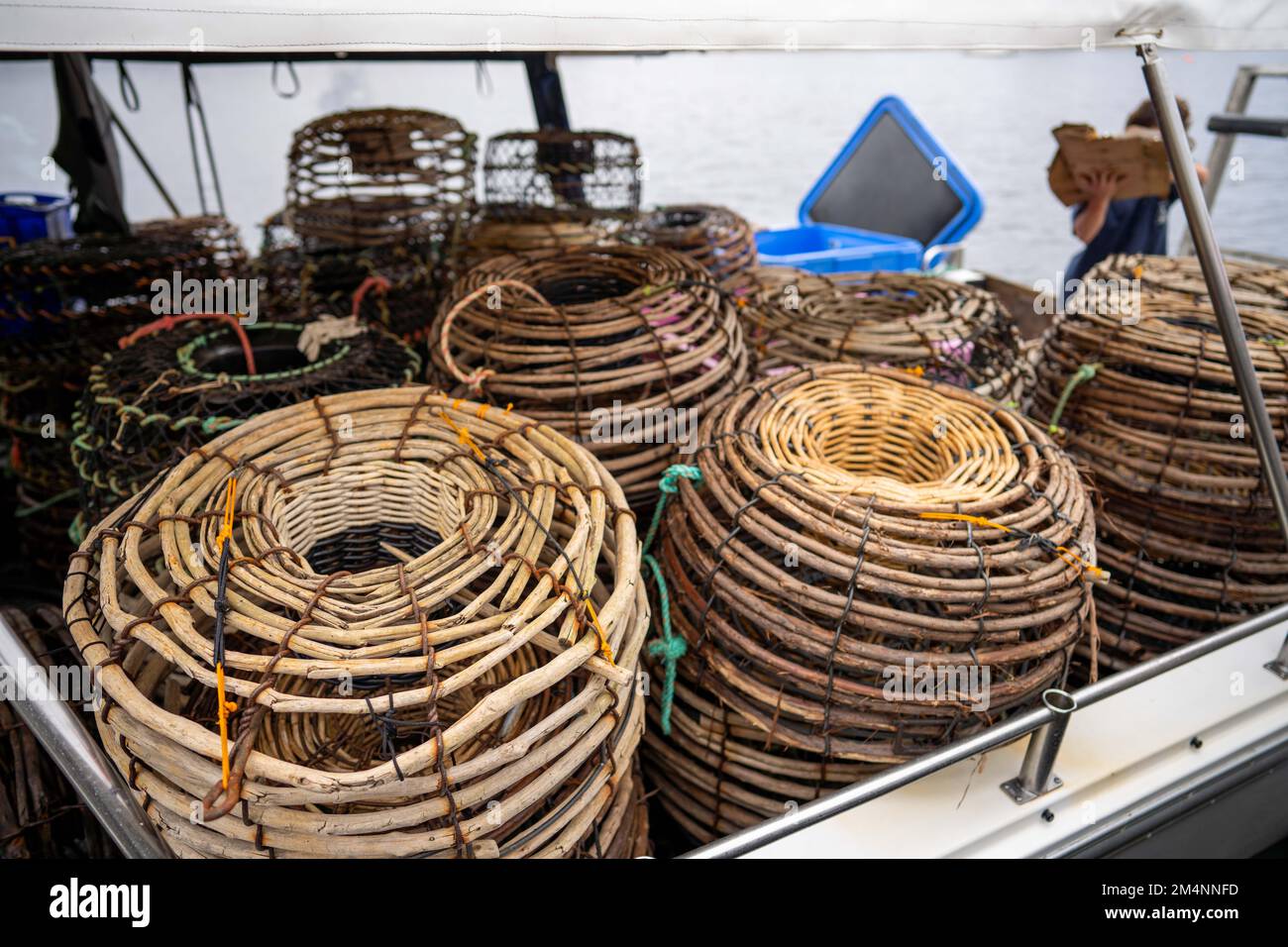 crayfish cray pots on the back of a fishing boat in tasmania australia ...