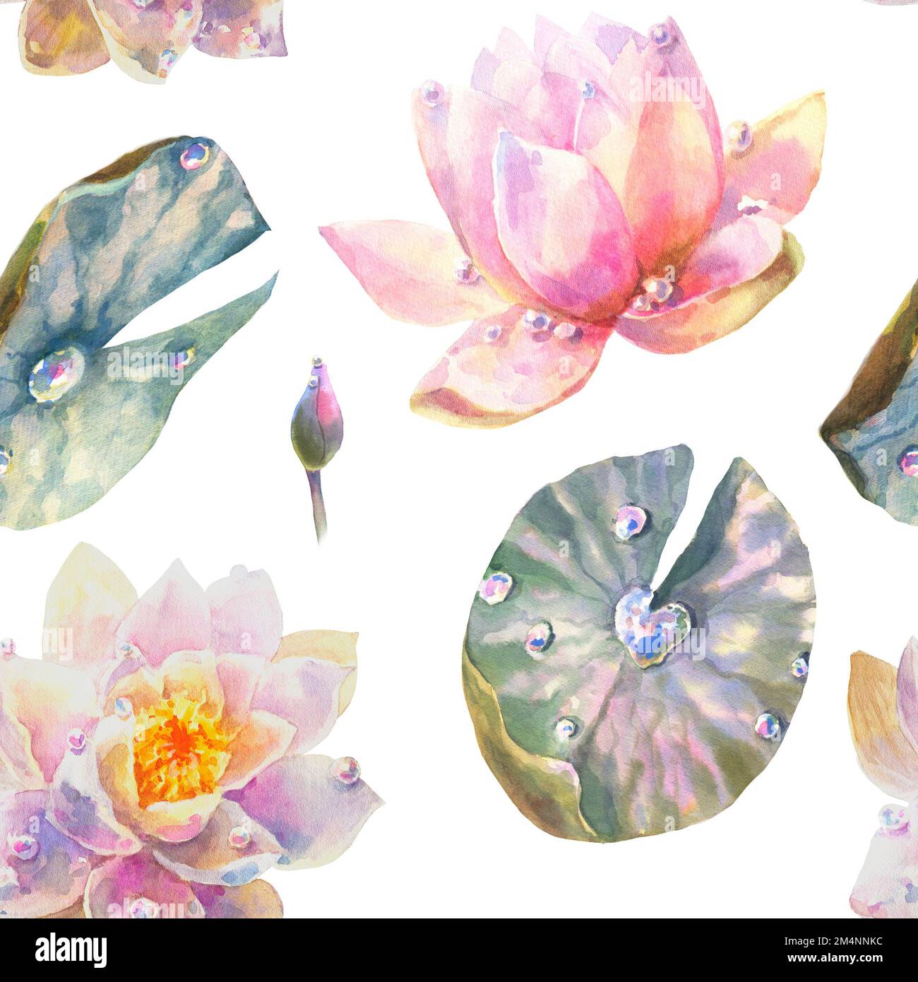 Watercolor Seamless Pattern with Romantic flowers of water lily on ...