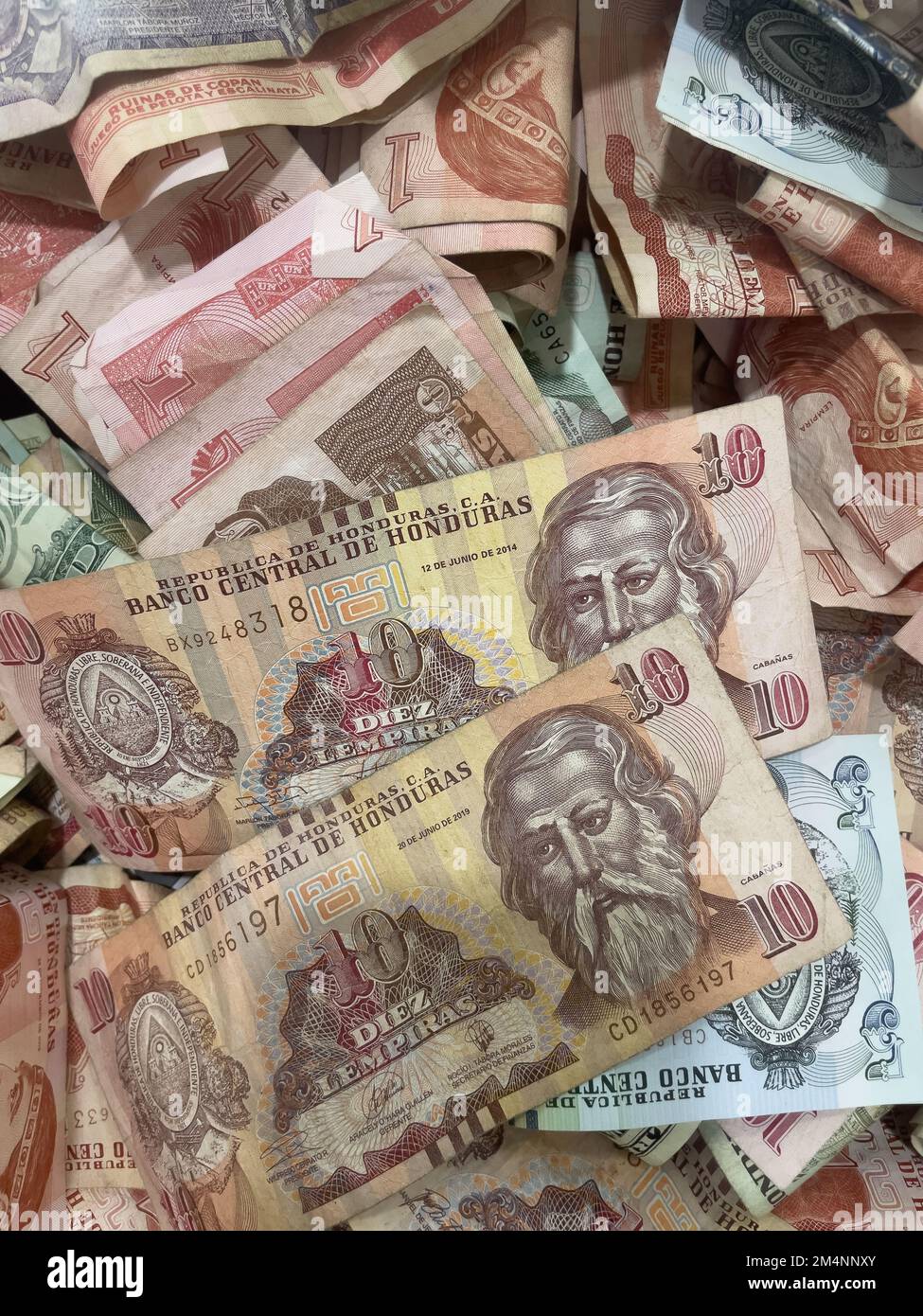 Honduran Lempira Symbol