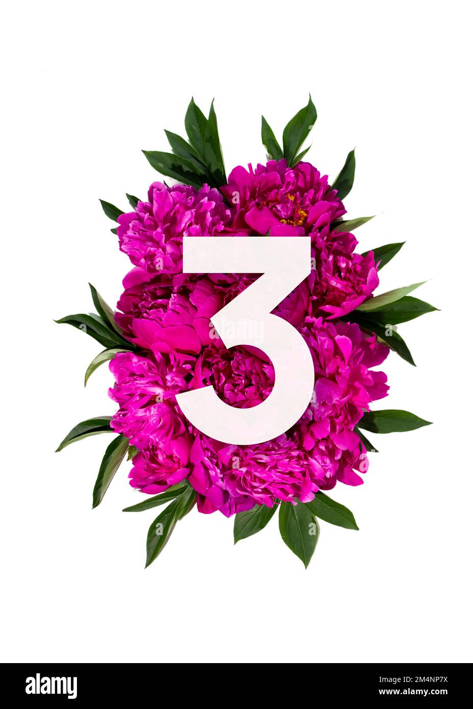 Layout with pink peonies flowers and white number three sign. Flat lay ...