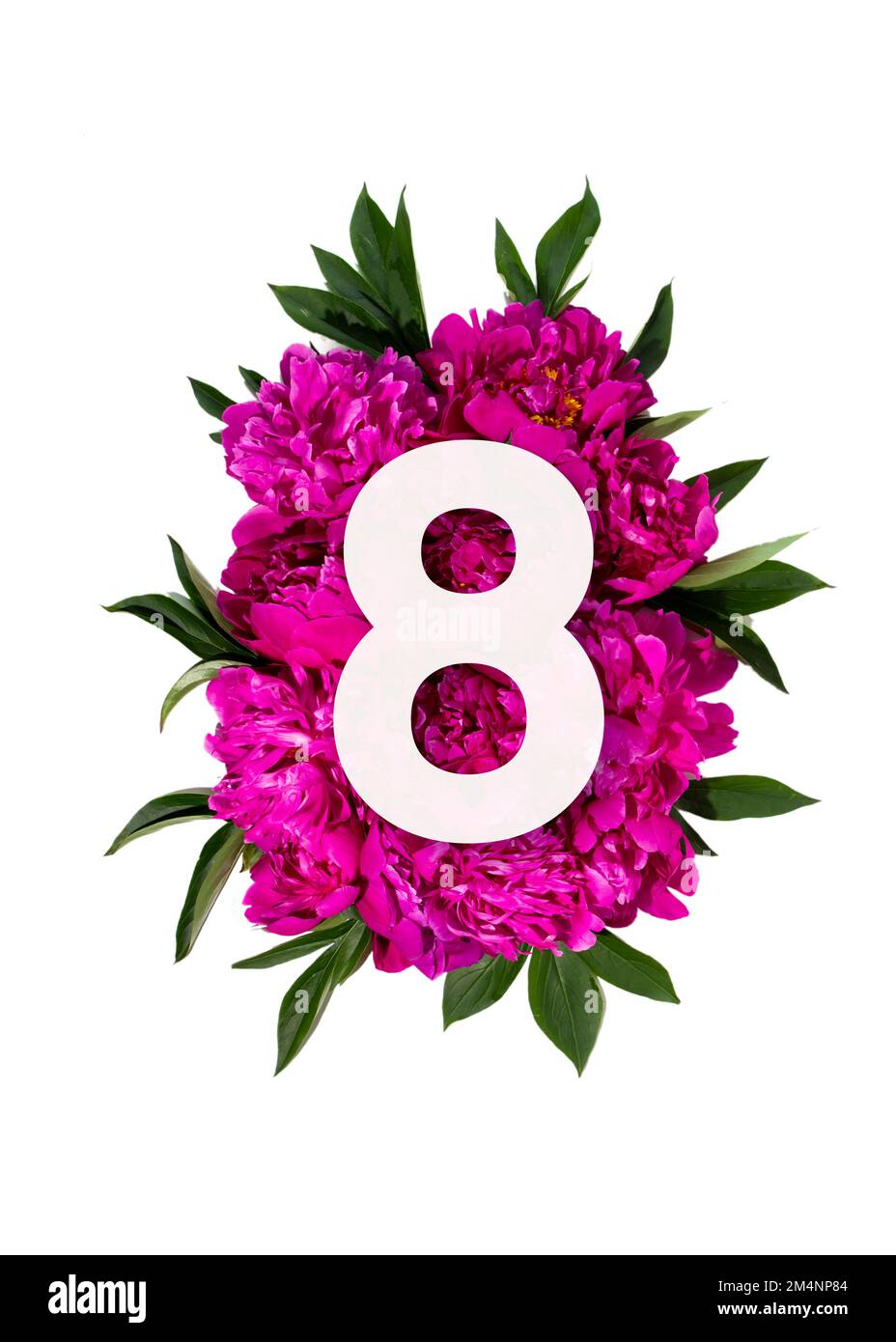 Layout with pink peonies flowers and white number eight sign. Flat lay ...