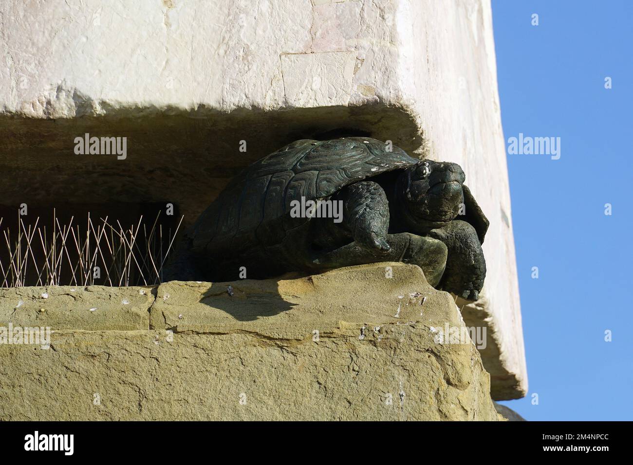 turtle statue, obelisk, obelisco, Piazza Santa Maria Novella, Firenze ...