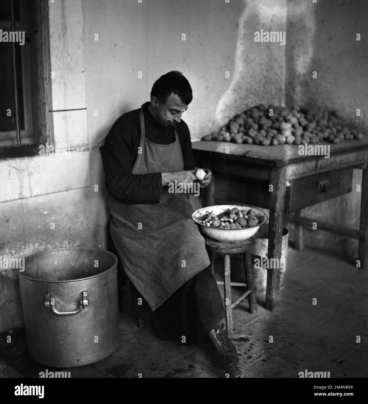 Hybrid Corn - Visit to the Madeleine Farm Near Pau. Photographs of ...