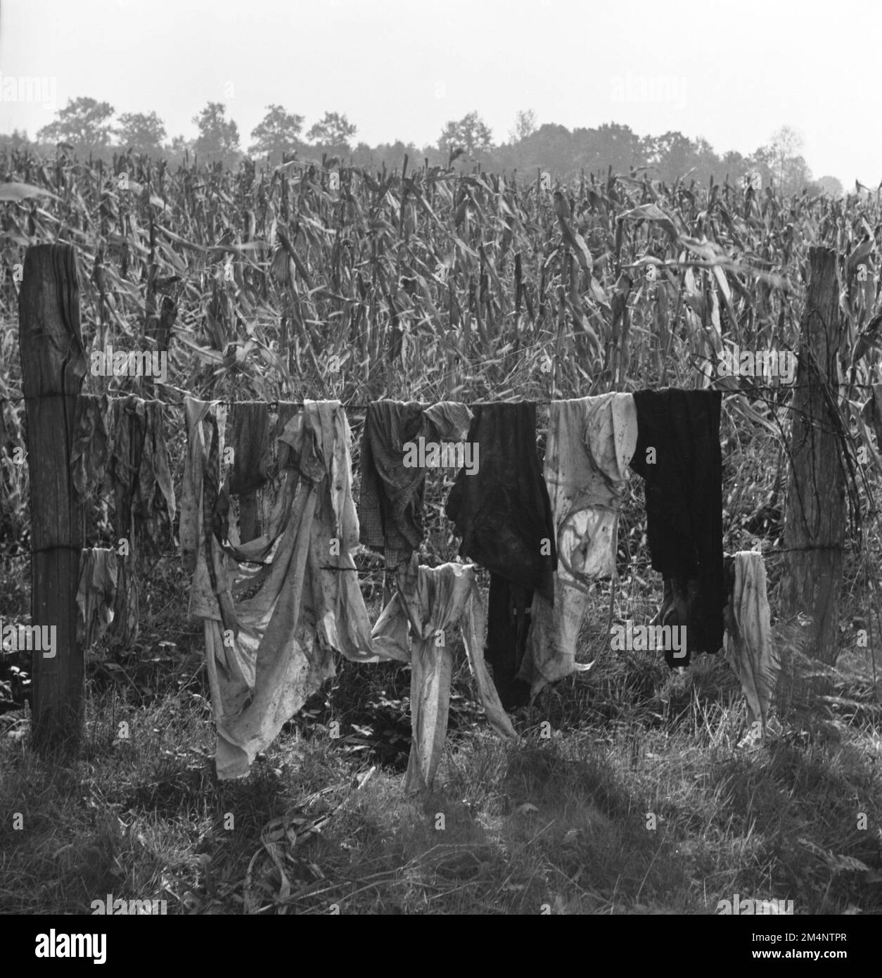 Madeleine Farm near PAU. Photographs of Marshall Plan Programs ...