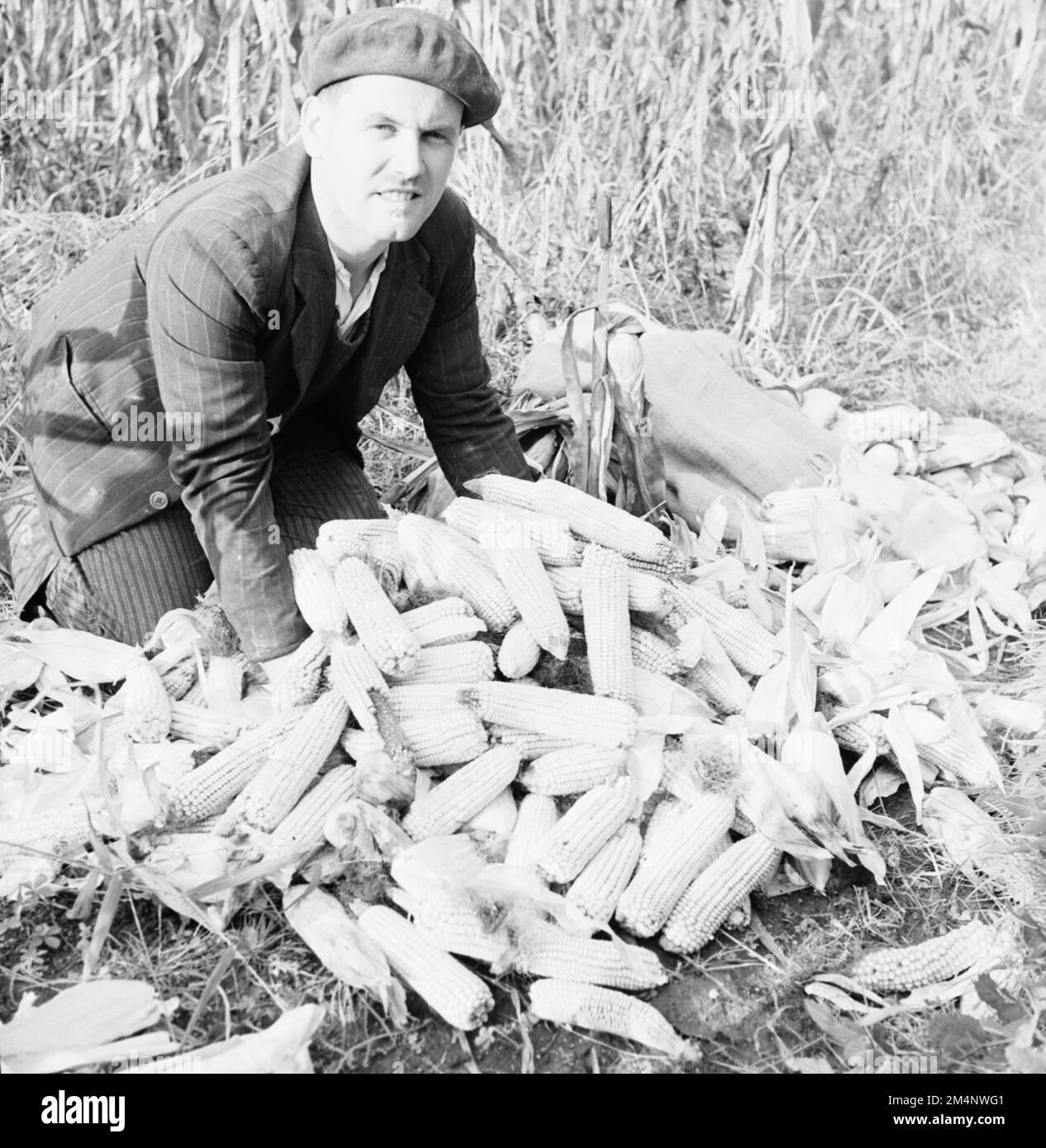 Madeleine Farm near PAU. Photographs of Marshall Plan Programs ...