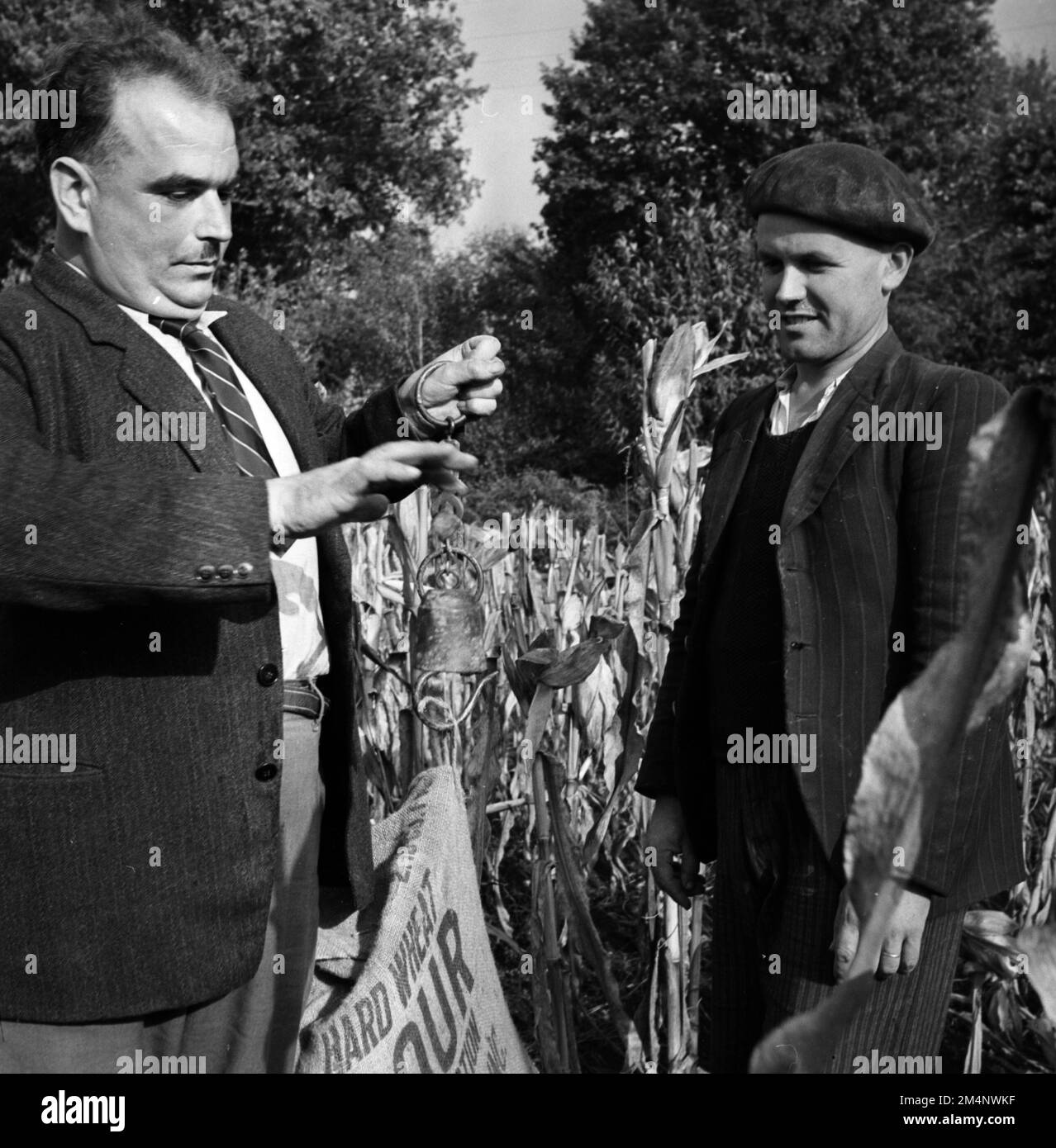 Madeleine Farm near PAU. Photographs of Marshall Plan Programs ...