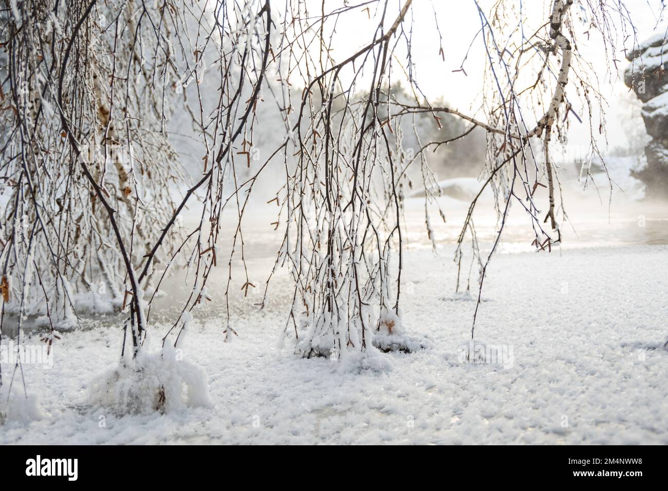 Winter Landscape Northern Winter Calm River With trees Covered With ...