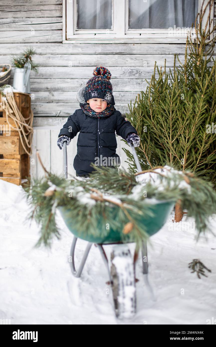 Little boy carries a Christmas tree on a sled to home Stock Photo - Alamy