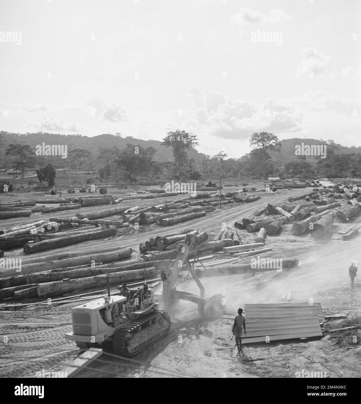 African Timber. Photographs of Marshall Plan Programs, Exhibits, and ...