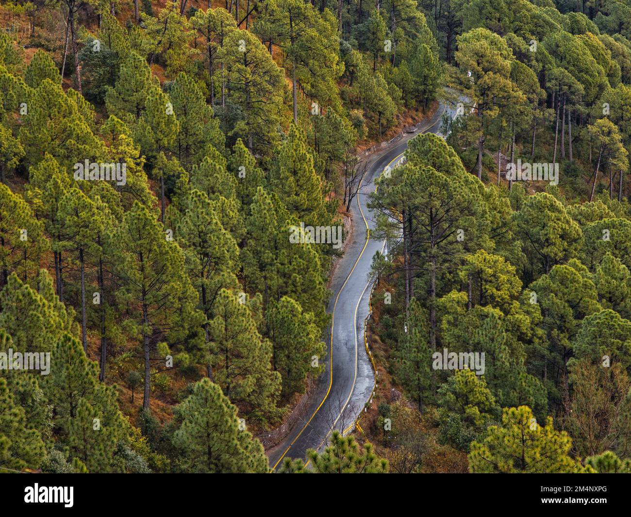 An aerial view of a pathway in forests in Murree Expressway Stock Photo ...