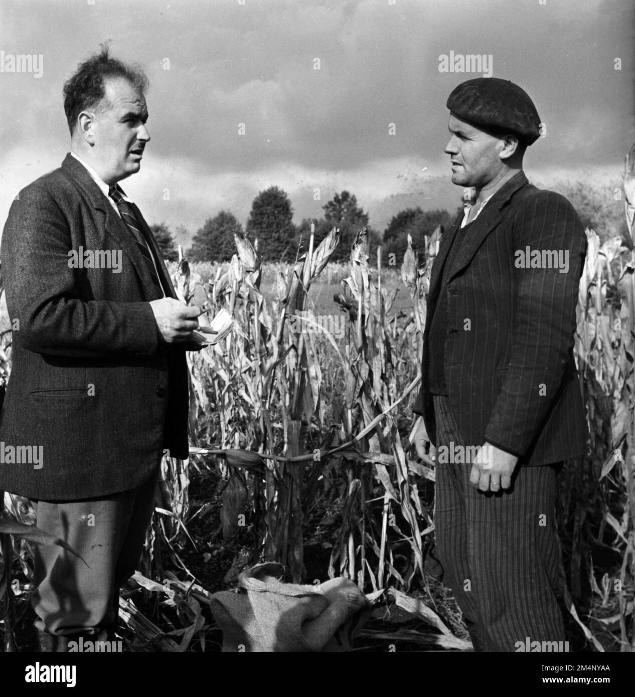 Madeleine Farm near PAU. Photographs of Marshall Plan Programs ...