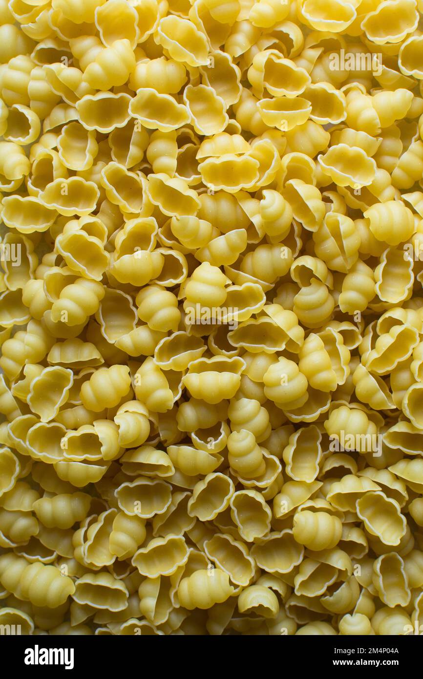 Flat lay of uncooked Gnocchetti pasta shells, top view of gnocchi pasta ...