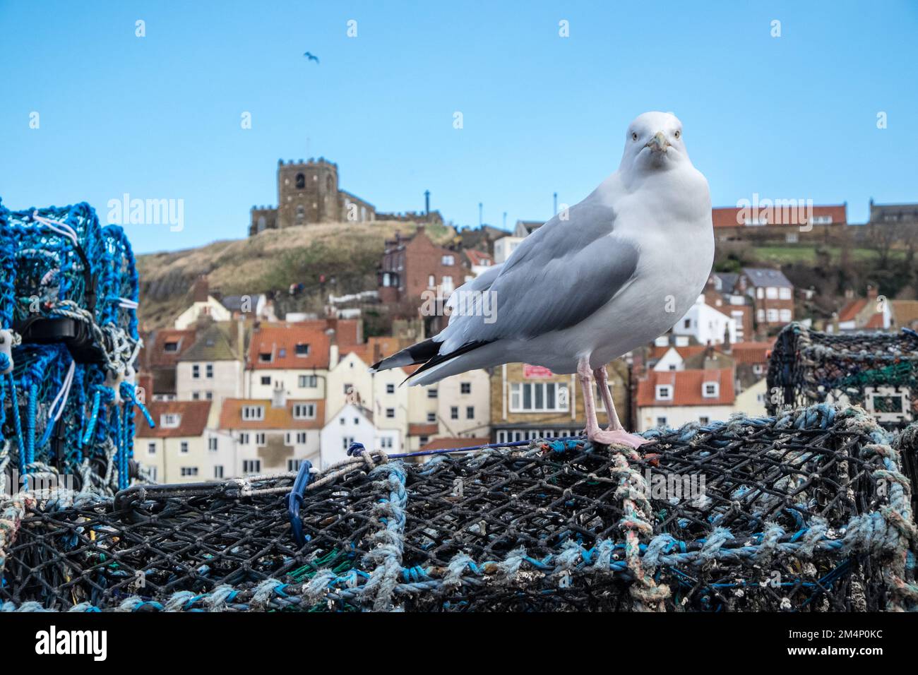 Whitby,Whitby, is a, seaside, town, port, and civil parish in the ...