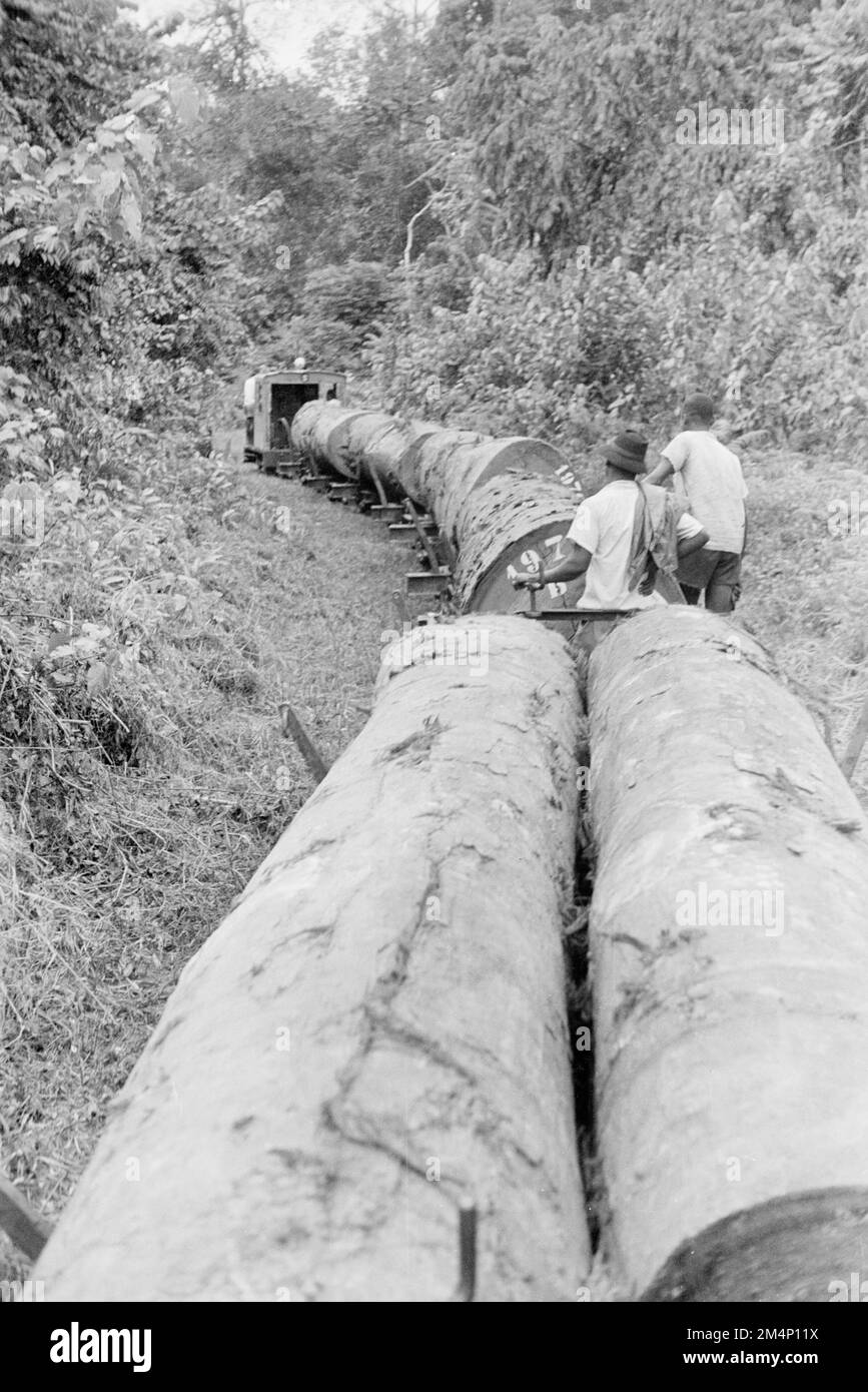Magazine Unit - Logging in the Gabon. Photographs of Marshall Plan ...