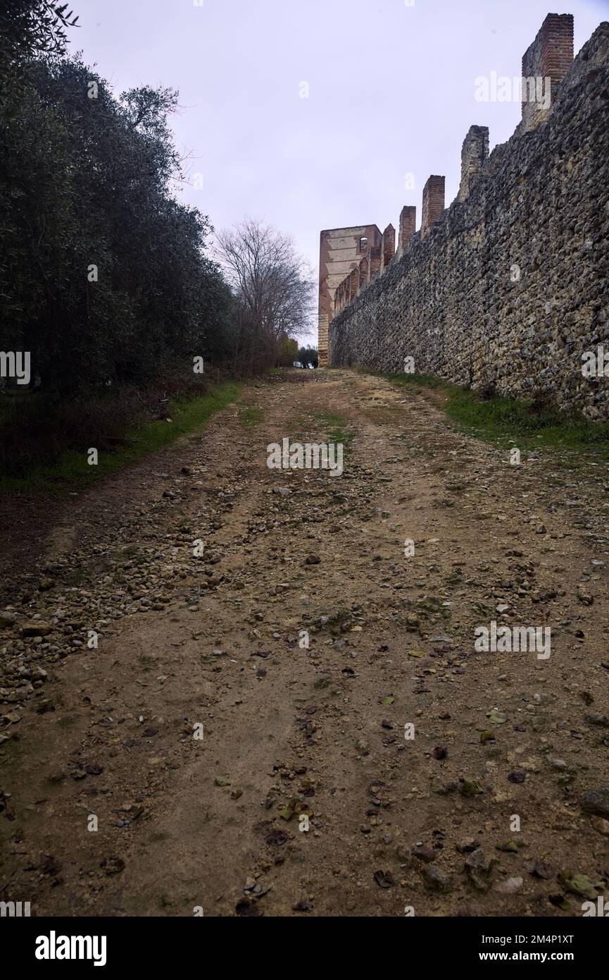 Uphill dirt path bordered by an olive tree grove and an ancient ...