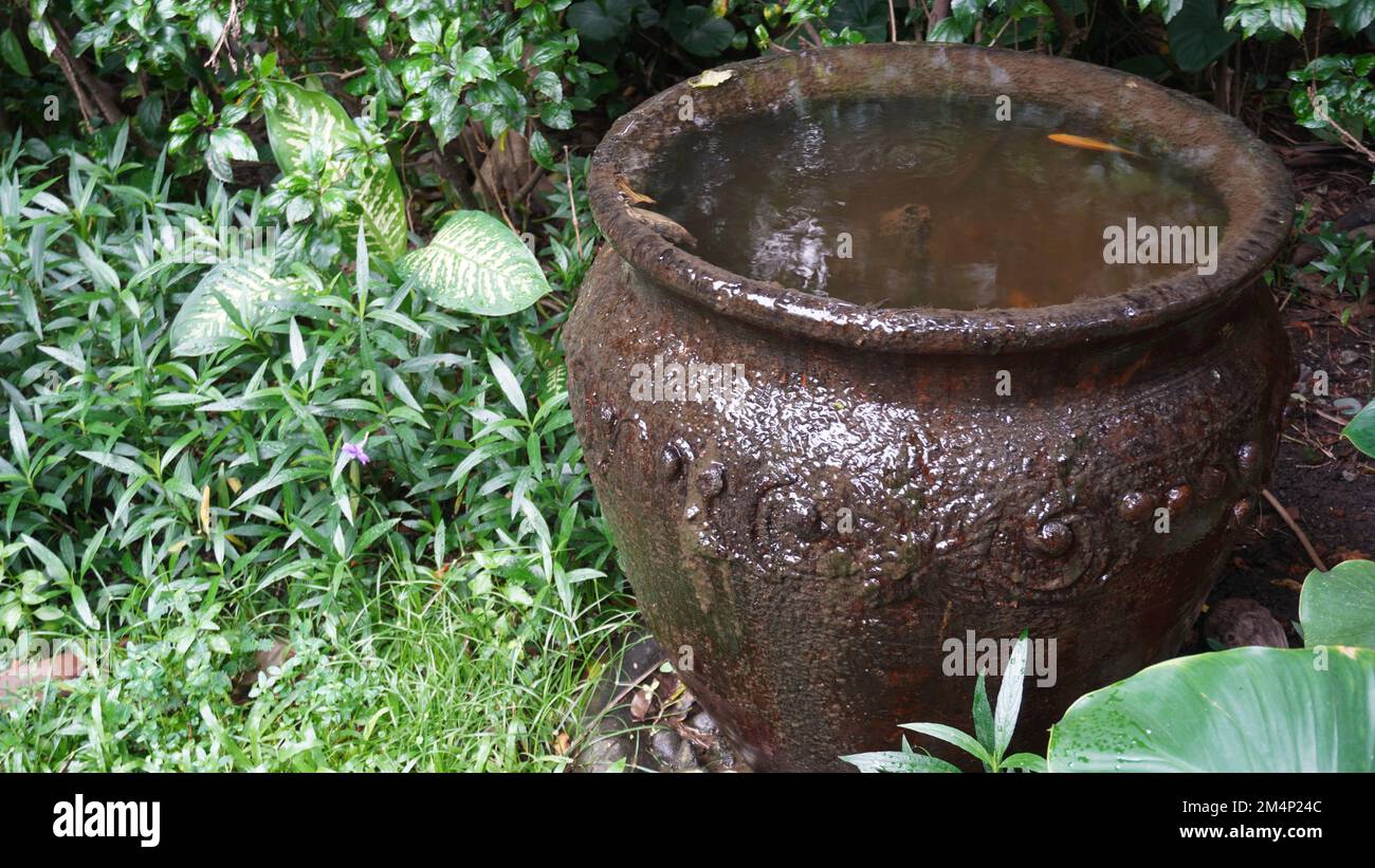 Huge clay pot for fish pond in the yard Stock Photo - Alamy