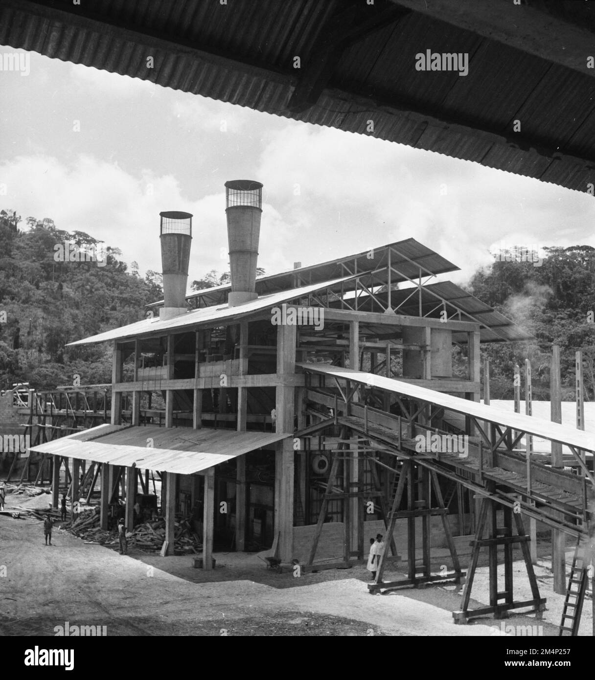 African Timber. Photographs of Marshall Plan Programs, Exhibits, and ...