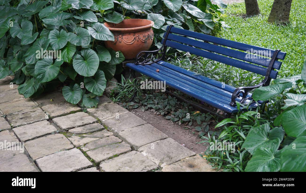 Garden benches, wooden tables and chairs surrounded by fresh greenery ...