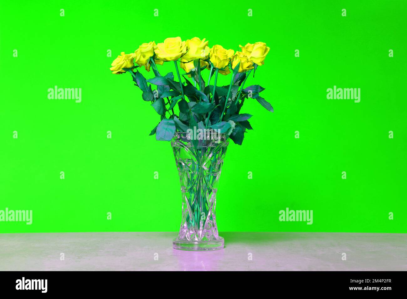 A vase of red roses with colour and hue shifts. Pop art effect Stock ...