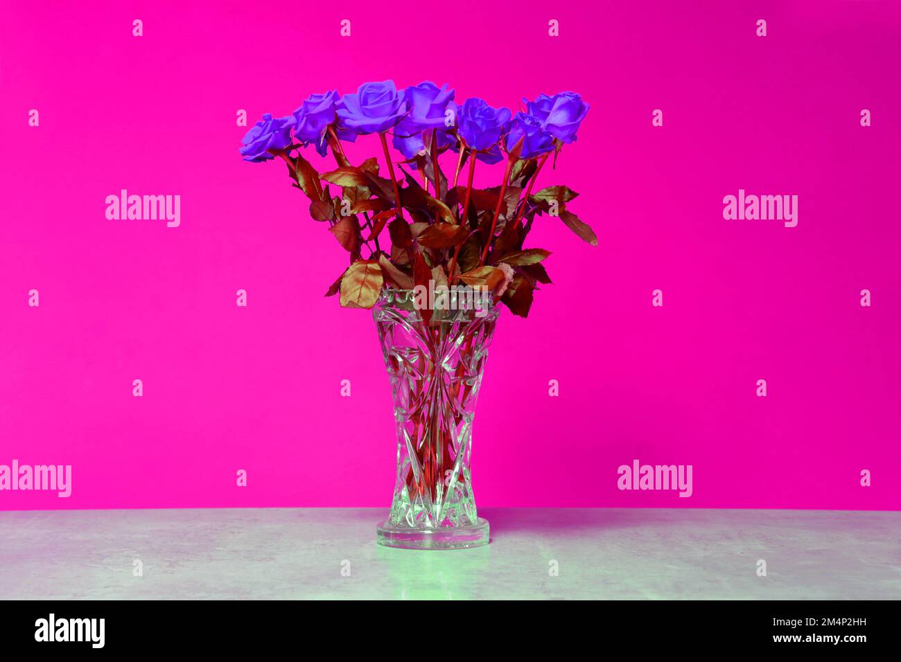 A vase of red roses with colour and hue shifts. Pop art effect Stock ...