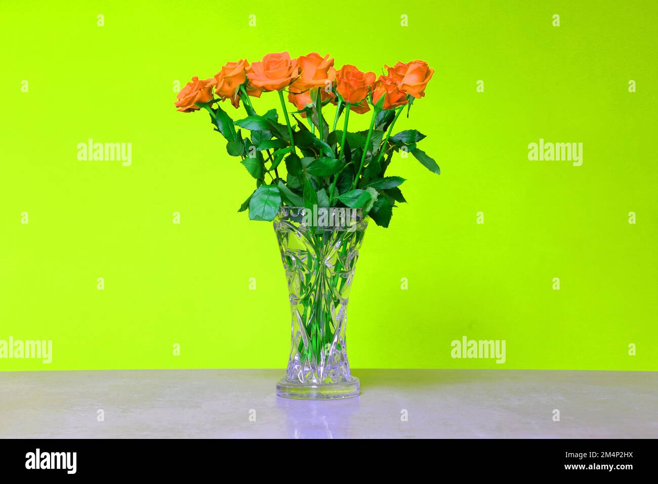 A vase of red roses with colour and hue shifts. Pop art effect Stock ...