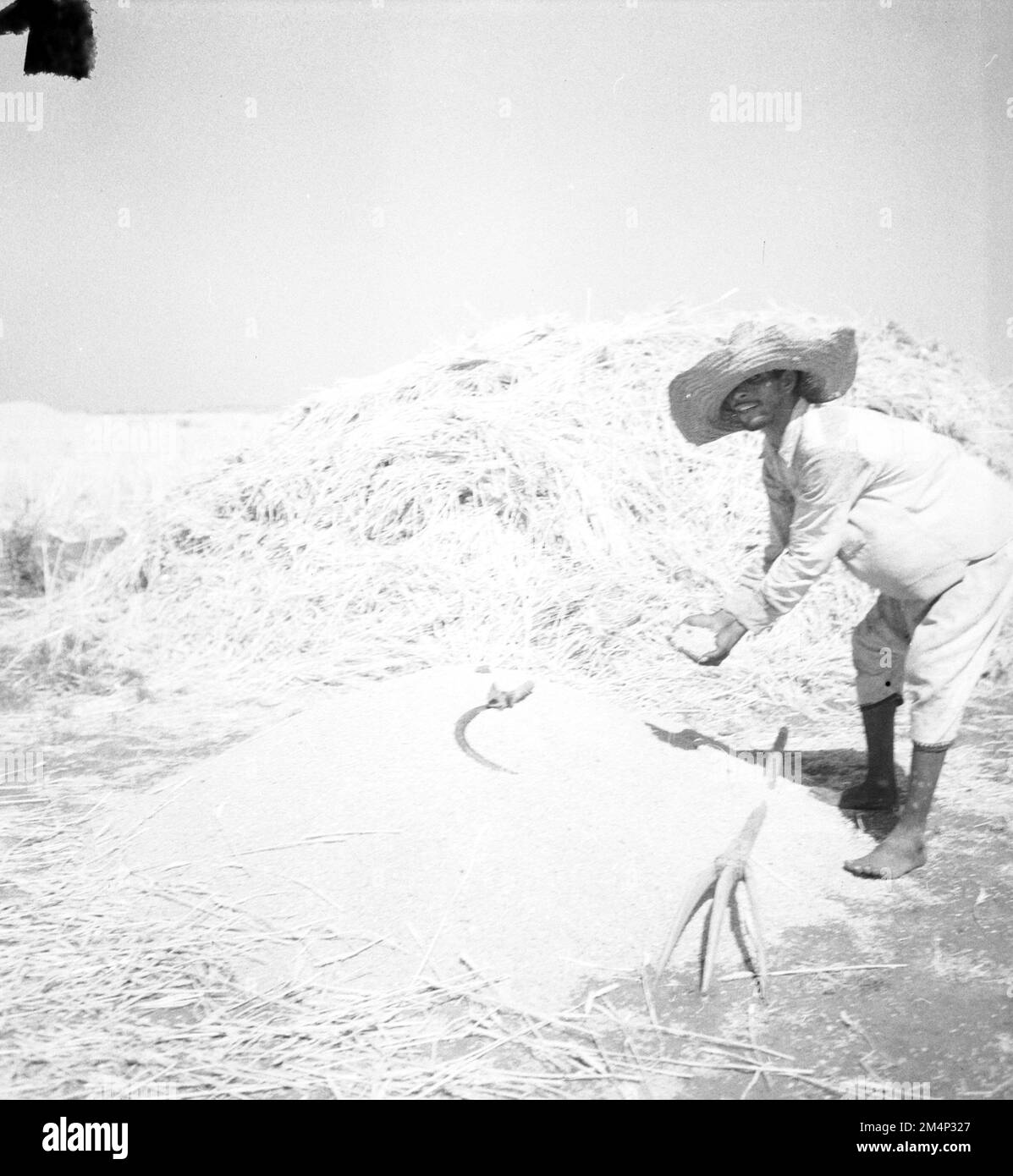 Moroccan Farming. Photographs of Marshall Plan Programs, Exhibits, and ...