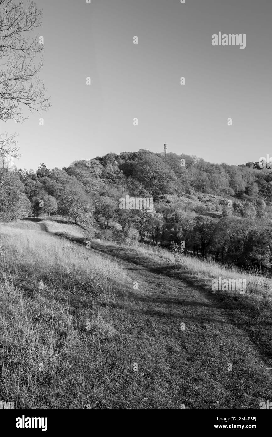 Landscape photo of the Admiral Hood Monument on the Polden Way footpath ...