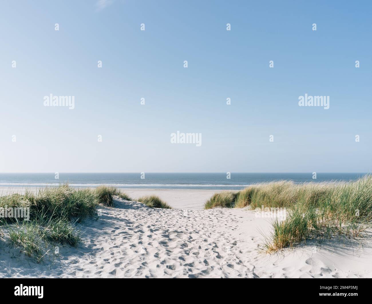 A beautiful shot of white sandy beach with seascape under blue sky ...