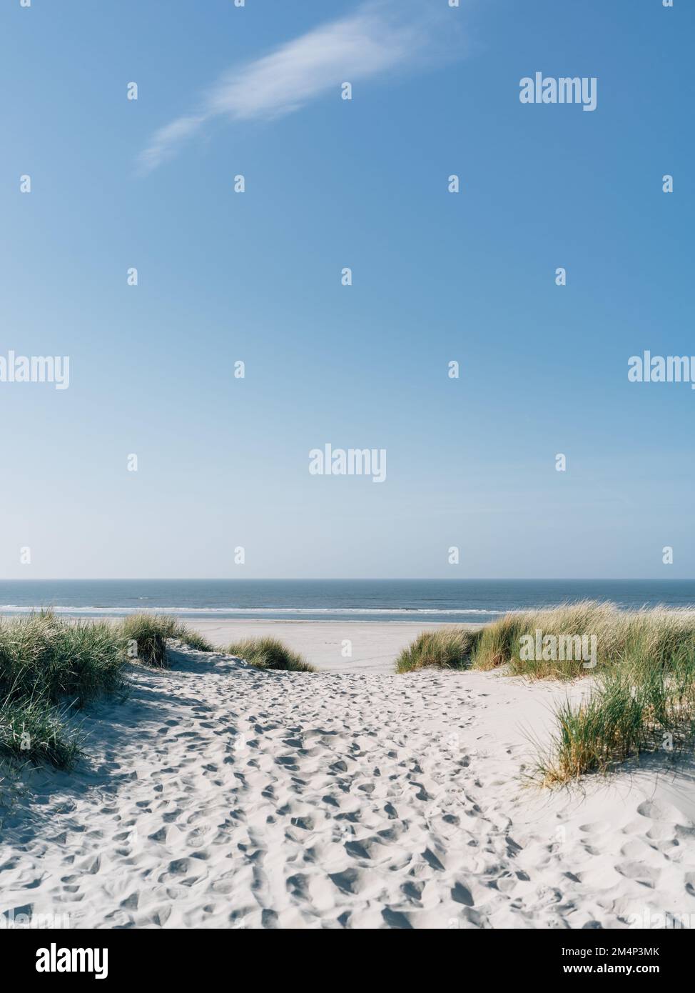 A vertical shot of white sandy beach with seascape under blue sky Stock ...