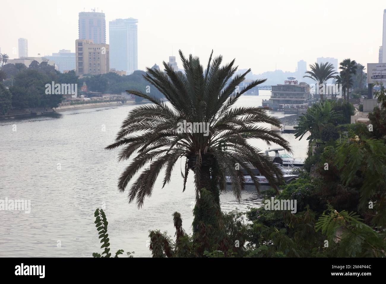 Palm Trees andThe Nile Stock Photo - Alamy