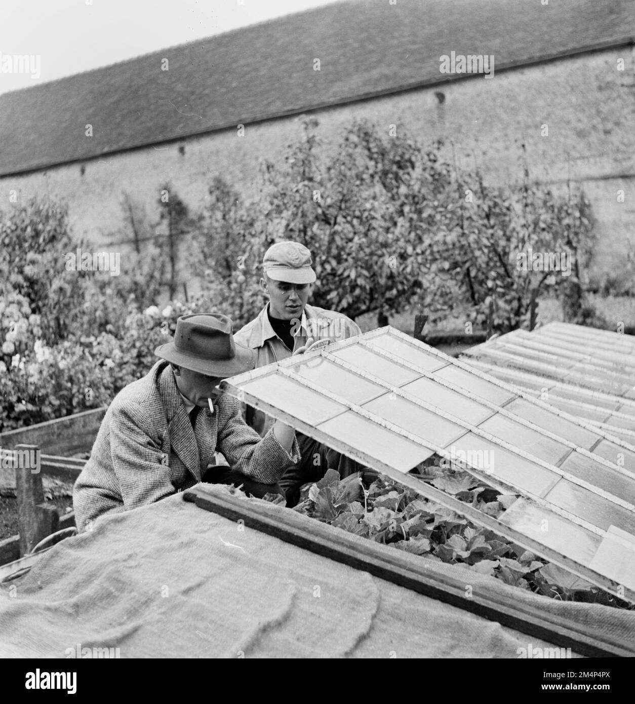 4-H Club Delegate, Tracy Remy, in French Farm. Photographs of Marshall ...