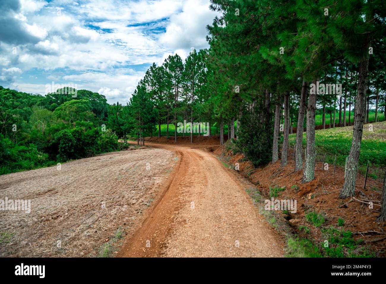 sandy road in rural South America Stock Photo - Alamy