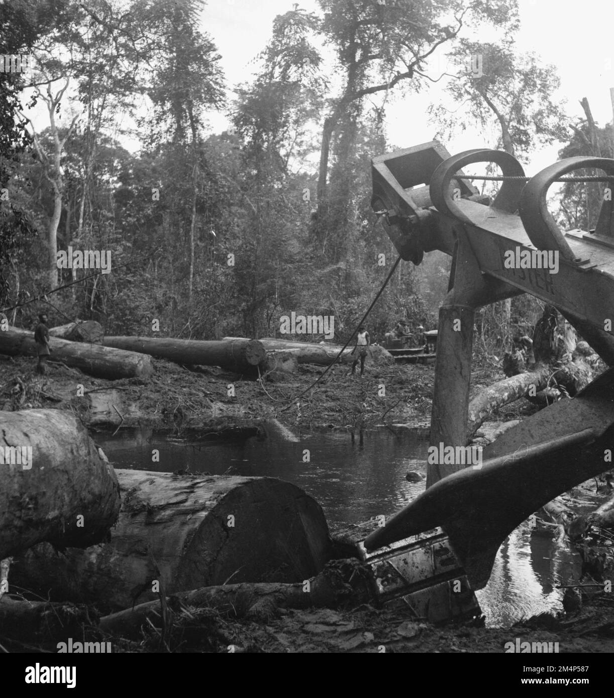 Magazine Unit - Logging in the Gabon. Photographs of Marshall Plan ...