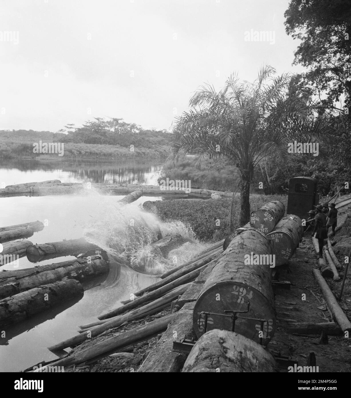 Magazine Unit - Logging in the Gabon. Photographs of Marshall Plan ...