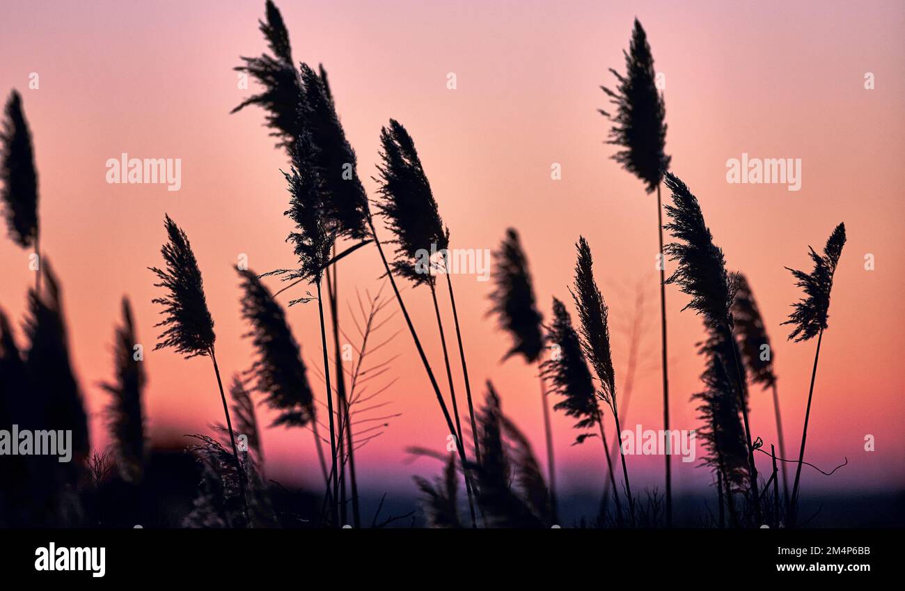 Beautiful sunset captured in hi-res stock photography and images - Alamy