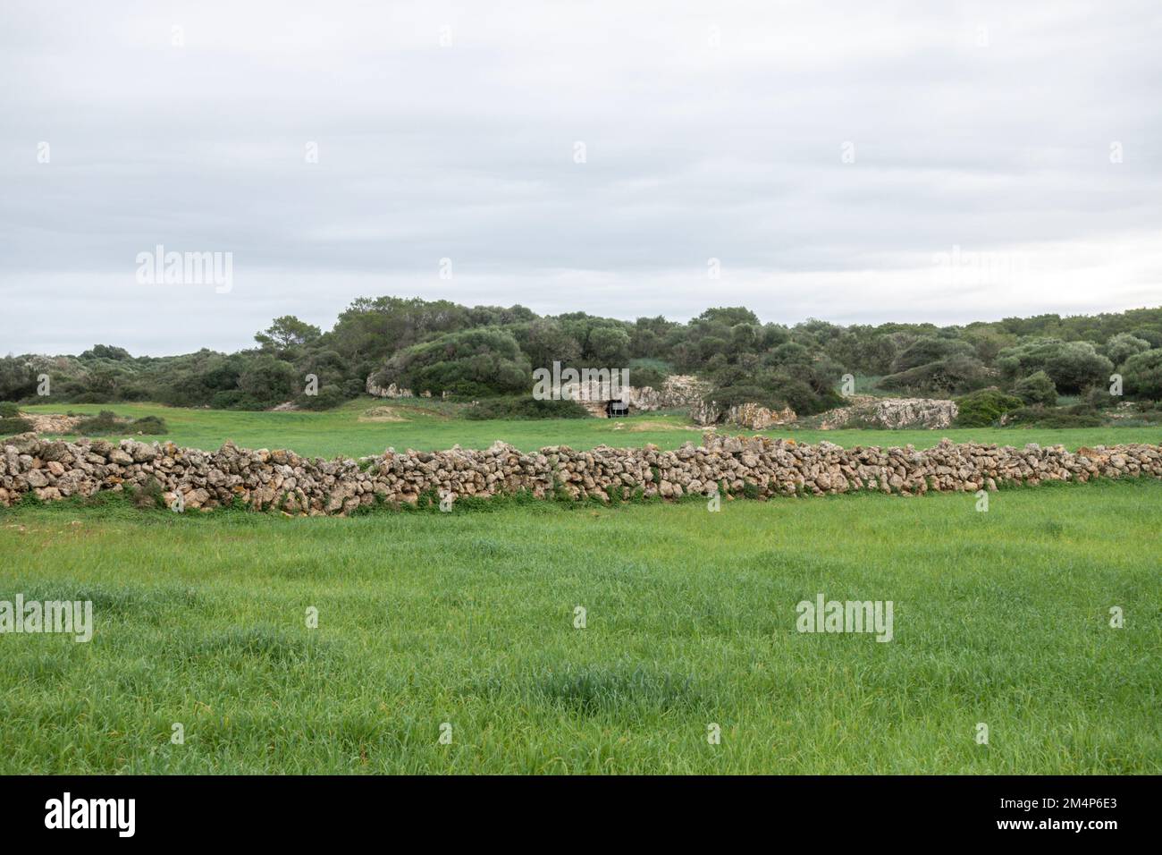 Countryside at Bini Gaus, with dry stone walls, Menorca, Balearic ...