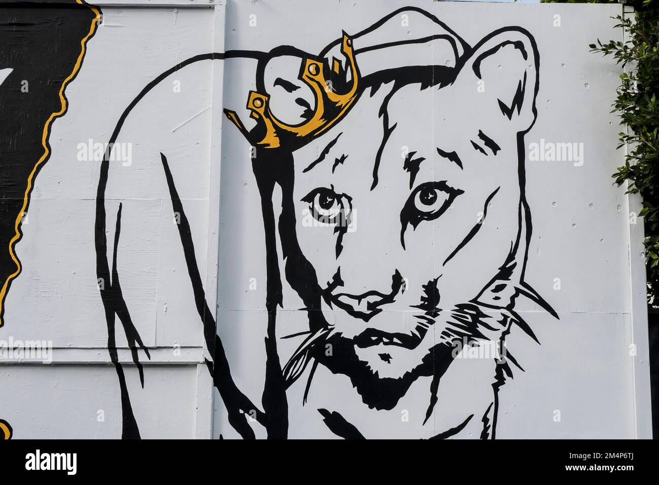 A mural dedicated to P-22, a wild mountain lion living in the Hollywood ...