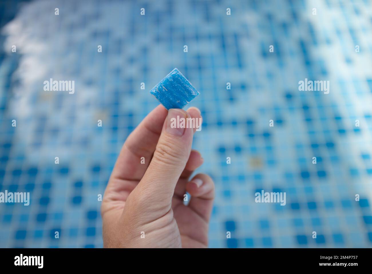 Hand holding small tile from floor of swimming pool. Tile from pool ...