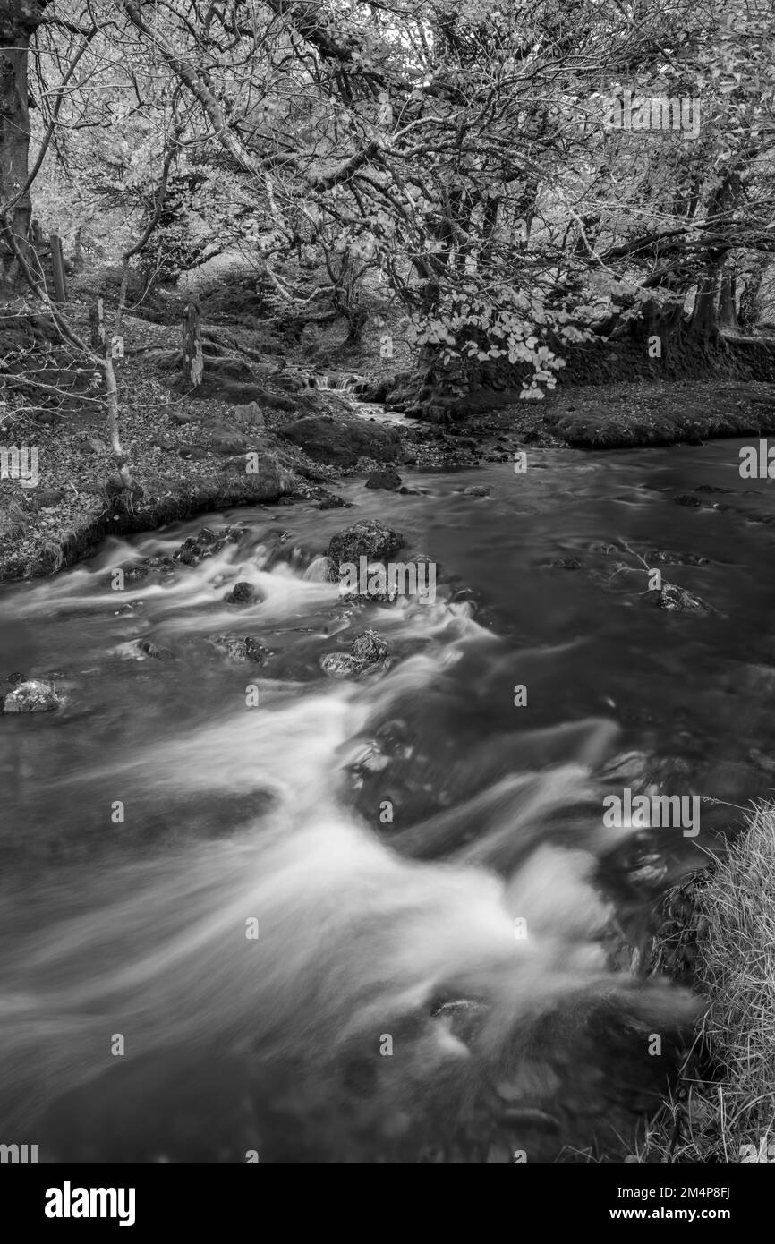 Long exposure of the Weir Water river flowing downstream of Robbers ...