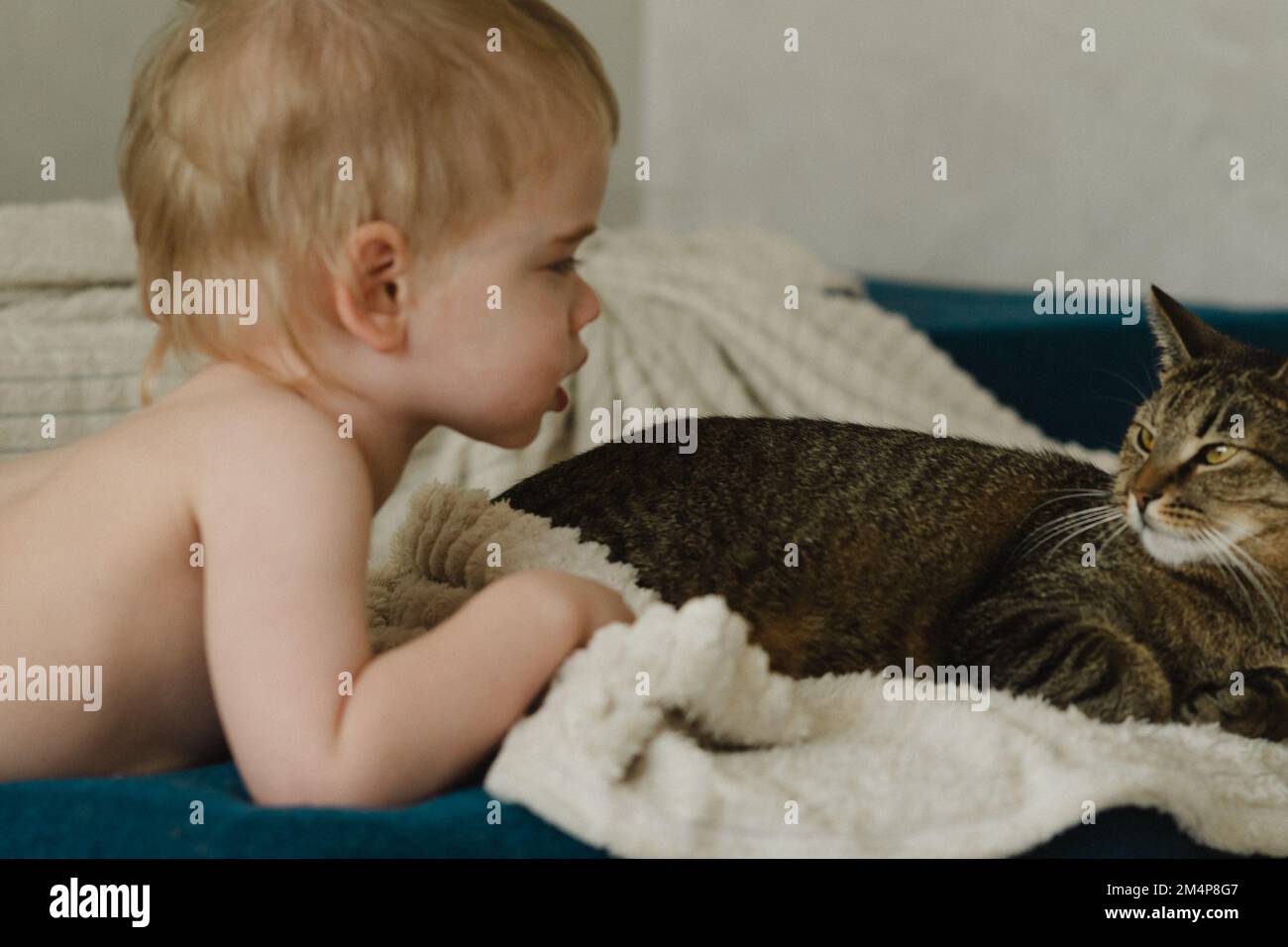 Little boy playing with a cat on the bed Stock Photo - Alamy