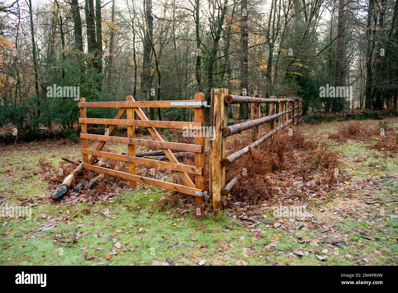 Fences and enclosures in the new forest Hampshire England to herd and ...