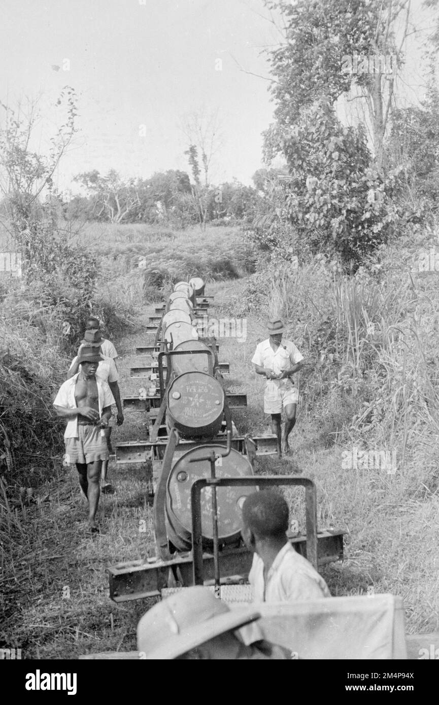 Magazine Unit - Logging in the Gabon. Photographs of Marshall Plan ...