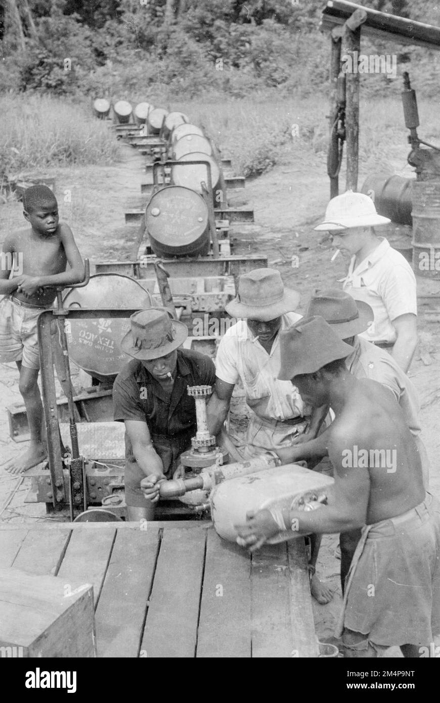 Magazine Unit - Logging in the Gabon. Photographs of Marshall Plan ...