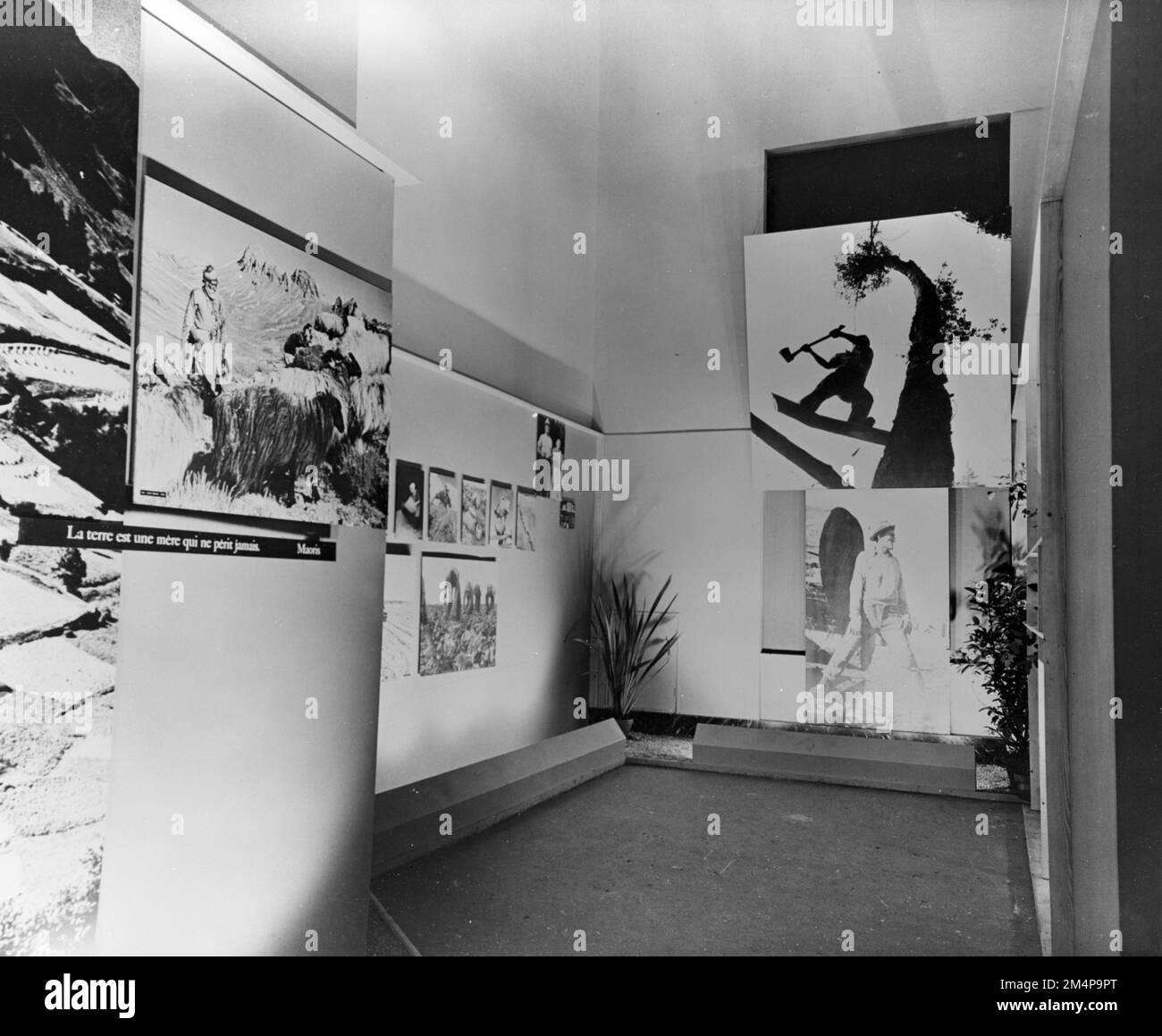 "Family of Man" Exhibit, Lay-out. Photographs of Marshall Plan Programs ...