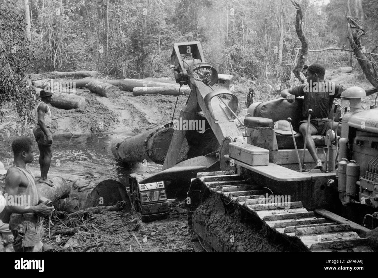 Magazine Unit - Logging in the Gabon. Photographs of Marshall Plan ...