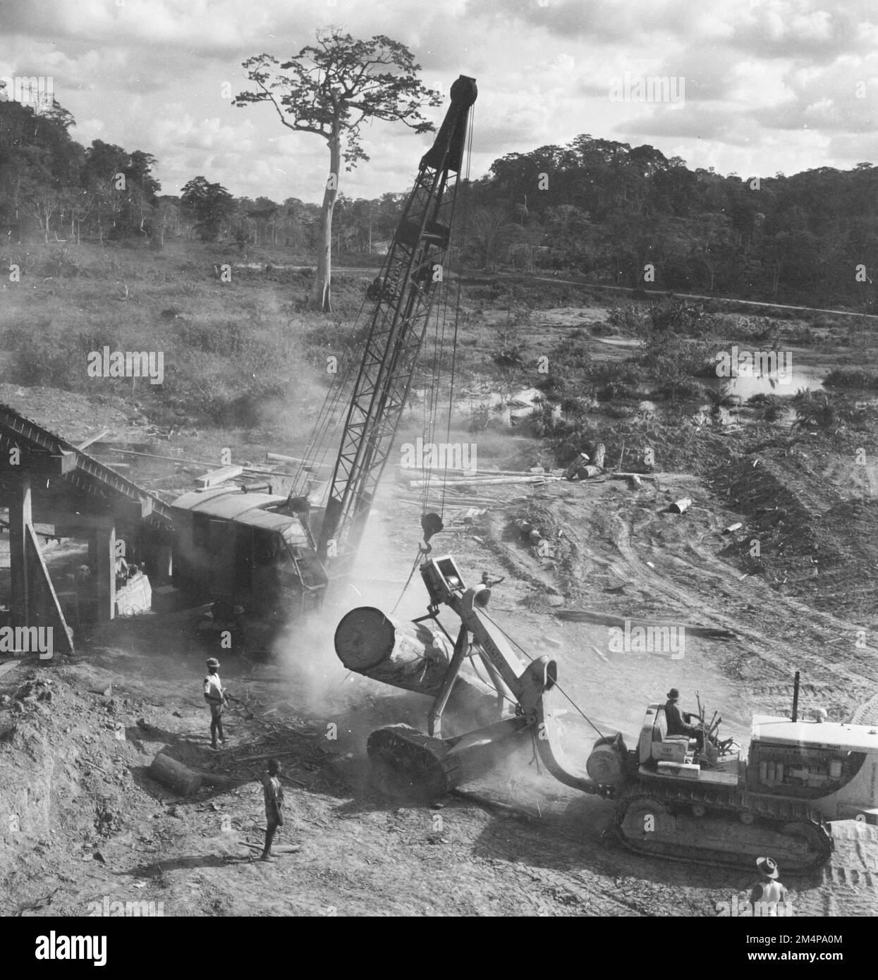 African Timber. Photographs of Marshall Plan Programs, Exhibits, and ...